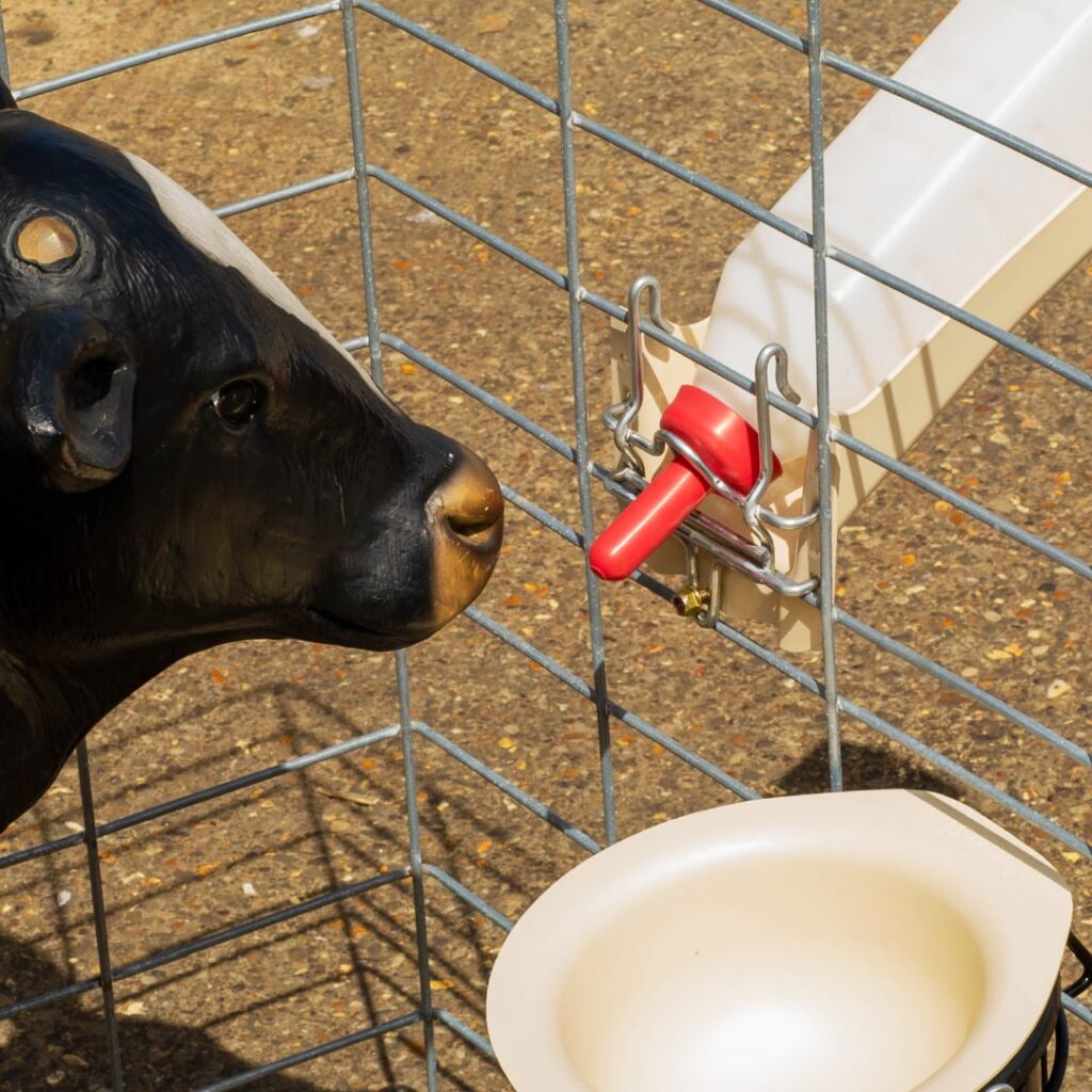 Teats for calf feeding bottles - Intershape