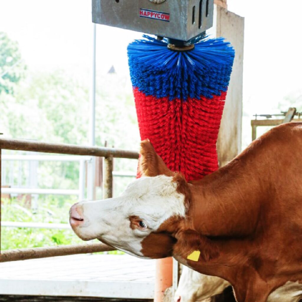 Automatic, Swinging Cow Brush - Farm and Country Direct