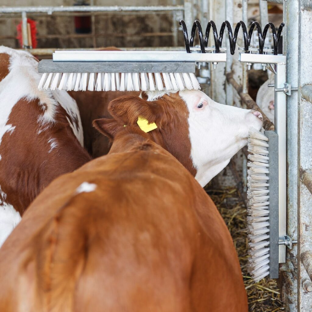 Cattle Scratching Brush, Cow Brush - Farm and Country Direct