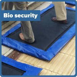 Home - Intershape Ltd